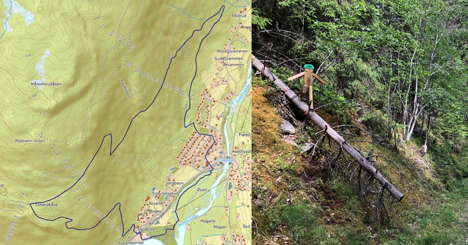 Troll walk - in Tinn Austbygd, Tinn - Rjukan